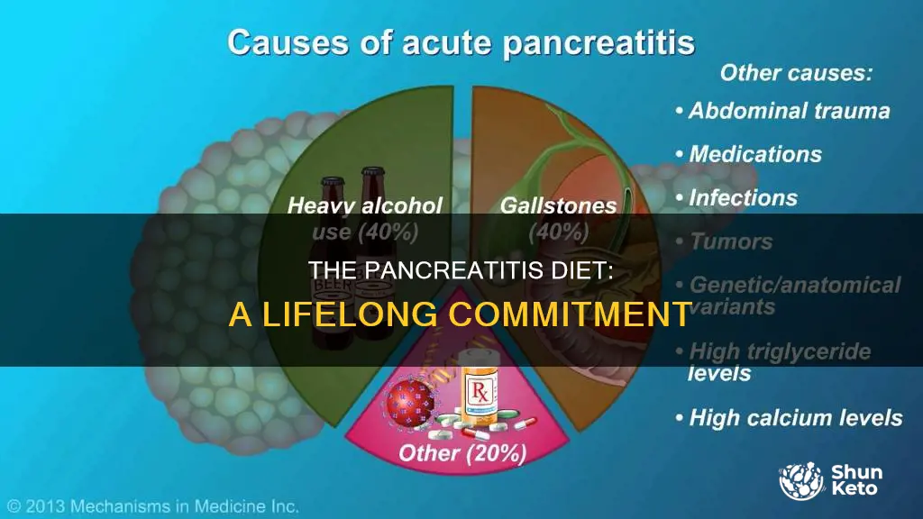 The Pancreatitis Diet: A Lifelong Commitment | ShunKeto