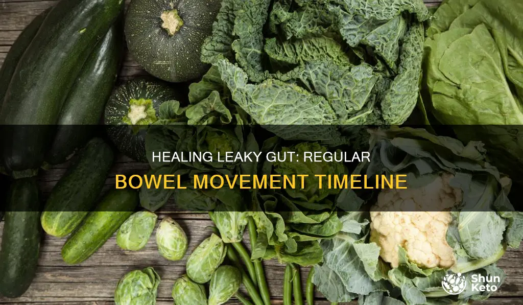 Healing Leaky Gut: Regular Bowel Movement Timeline | ShunKeto