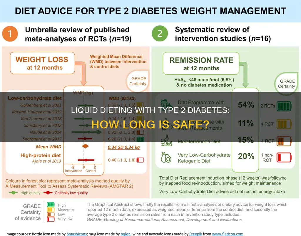 Liquid Dieting With Type 2 Diabetes: How Long Is Safe? | ShunKeto