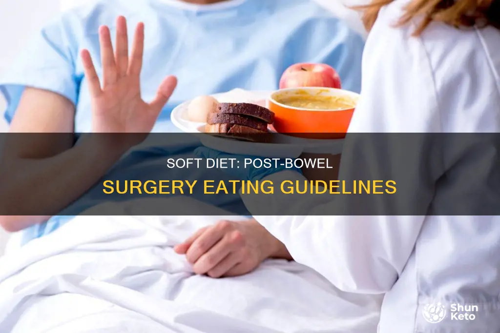 Soft Diet: Post-Bowel Surgery Eating Guidelines | ShunKeto