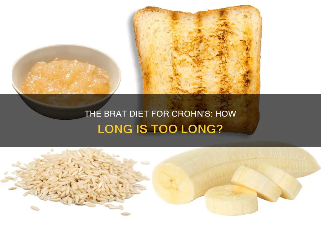 The Brat Diet For Crohn's: How Long Is Too Long? | ShunKeto