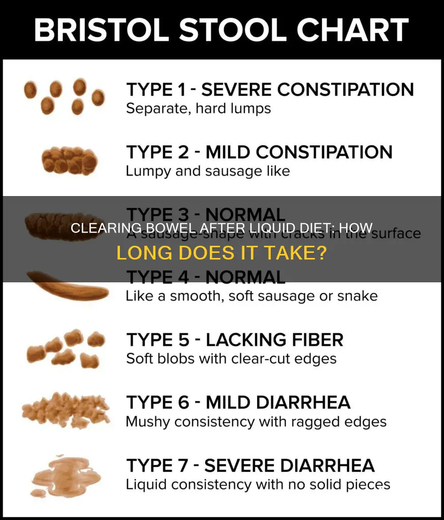 Clearing Bowel After Liquid Diet: How Long Does It Take? | ShunKeto