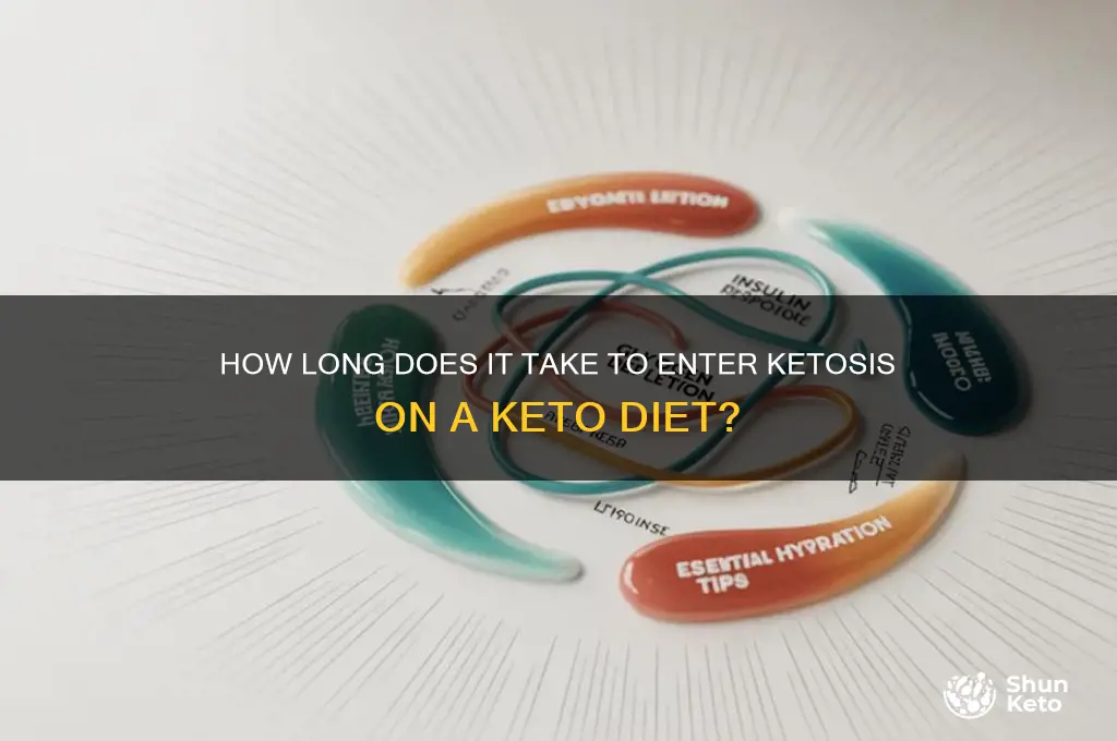 How Long Does It Take To Enter Ketosis On A Keto Diet? | ShunKeto