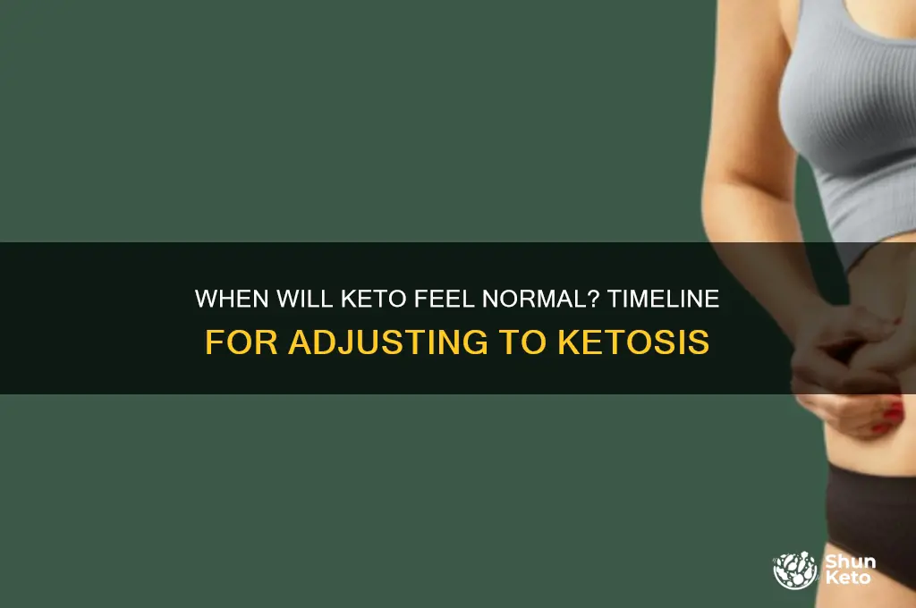When Will Keto Feel Normal? Timeline For Adjusting To Ketosis | ShunKeto