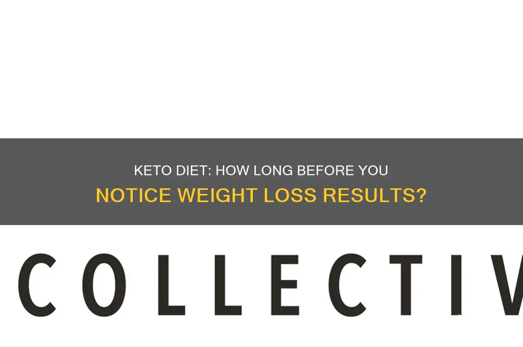 Keto Diet: How Long Before You Notice Weight Loss Results? | ShunKeto