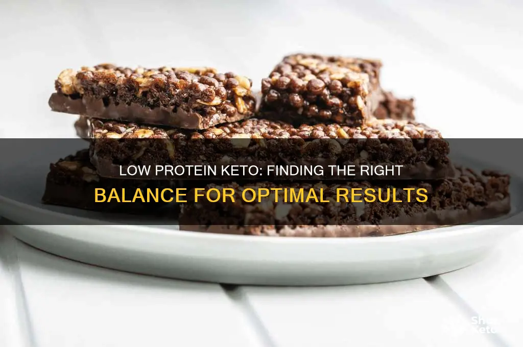 Low Protein Keto: Finding The Right Balance For Optimal Results | ShunKeto