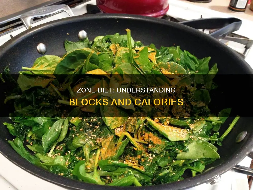 Zone Diet: Understanding Blocks And Calories | ShunKeto