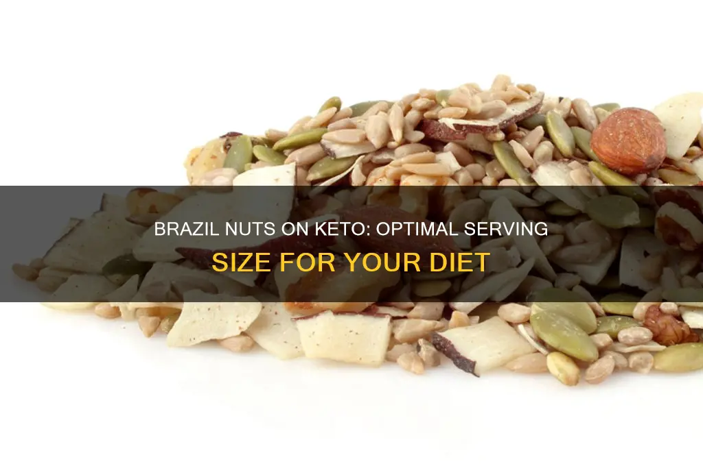 Brazil Nuts On Keto: Optimal Serving Size For Your Diet | ShunKeto