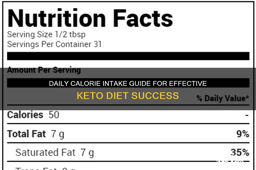 Daily Calorie Intake Guide For Effective Keto Diet Success | ShunKeto