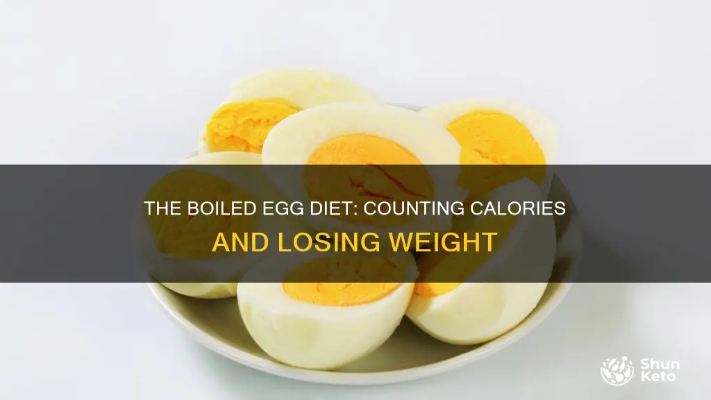 The Boiled Egg Diet: Counting Calories And Losing Weight | ShunKeto