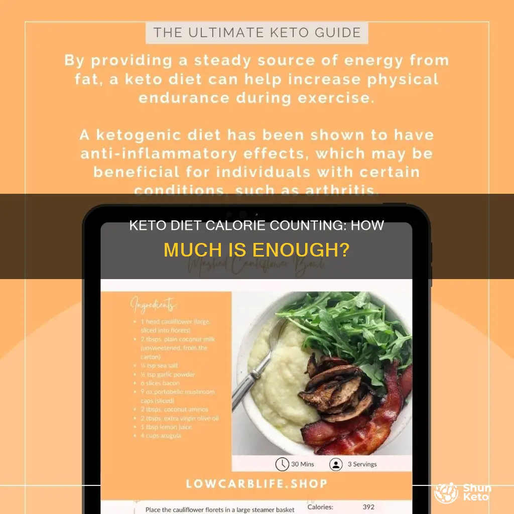 Keto Diet Calorie Counting: How Much Is Enough? | ShunKeto
