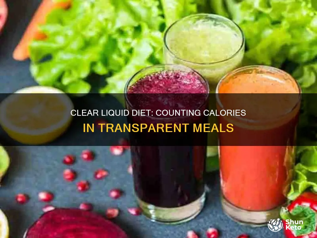 Clear Liquid Diet: Counting Calories In Transparent Meals | ShunKeto
