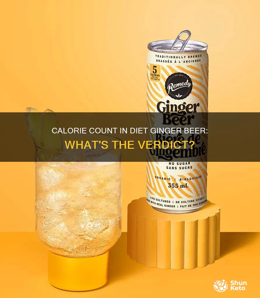Calorie Count In Diet Ginger Beer: What's The Verdict? | ShunKeto