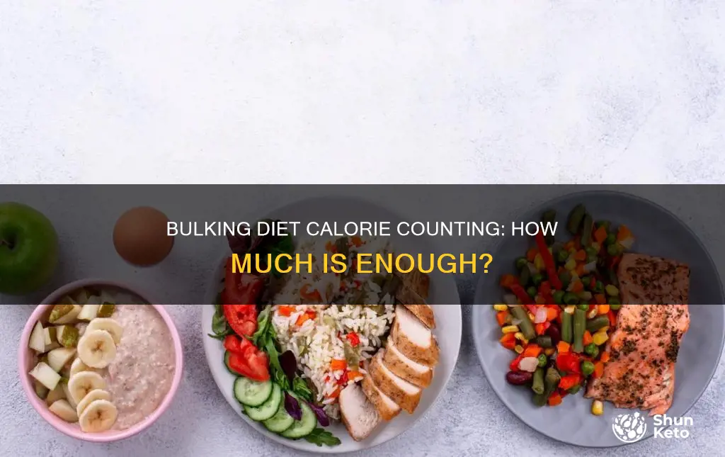 Bulking Diet Calorie Counting: How Much Is Enough? | ShunKeto