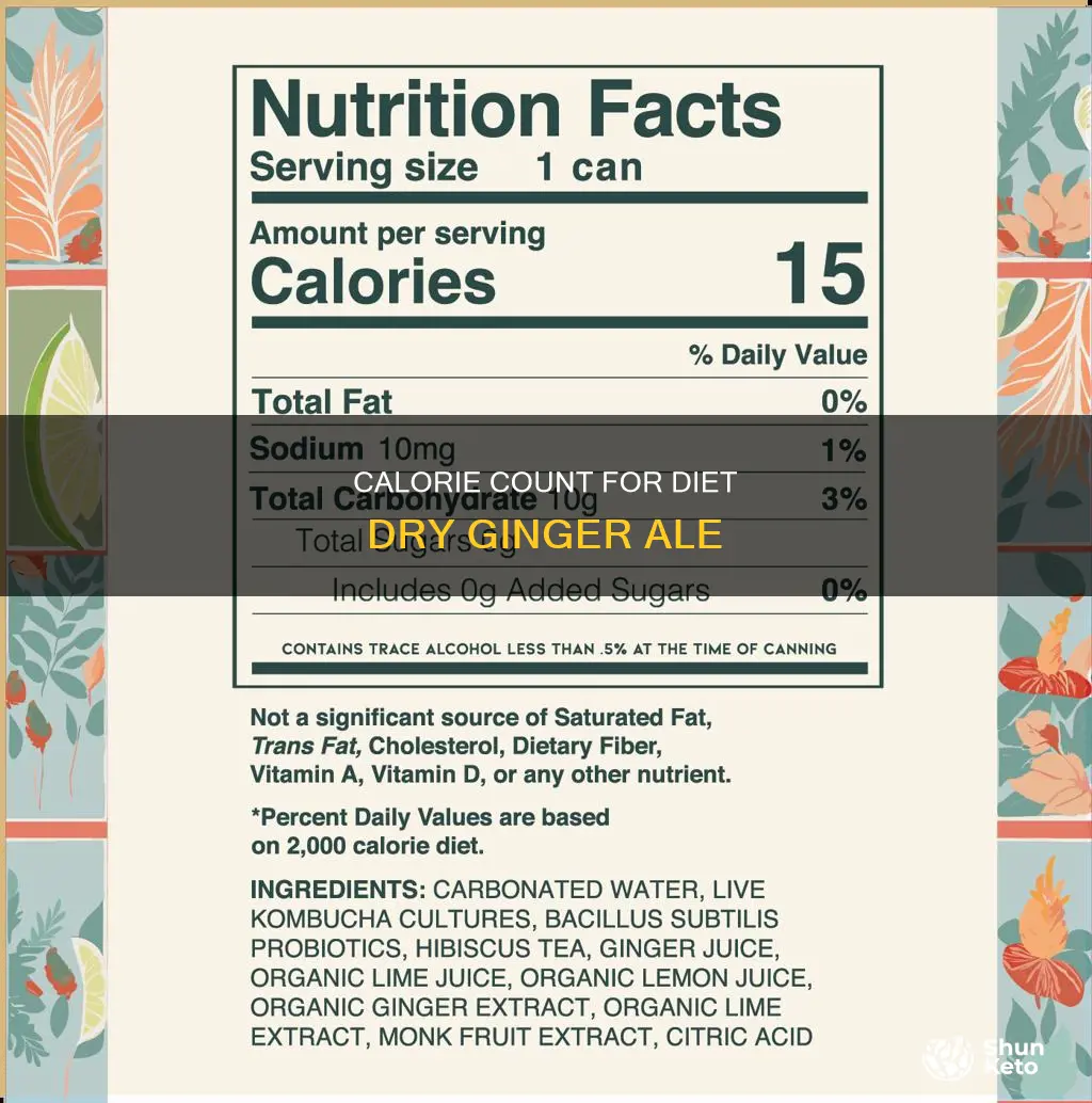 Calorie Count For Diet Dry Ginger Ale | ShunKeto