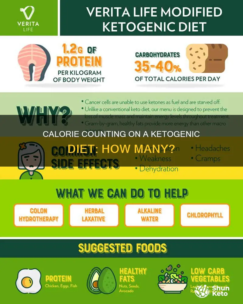 Calorie Counting On A Ketogenic Diet: How Many? | ShunKeto