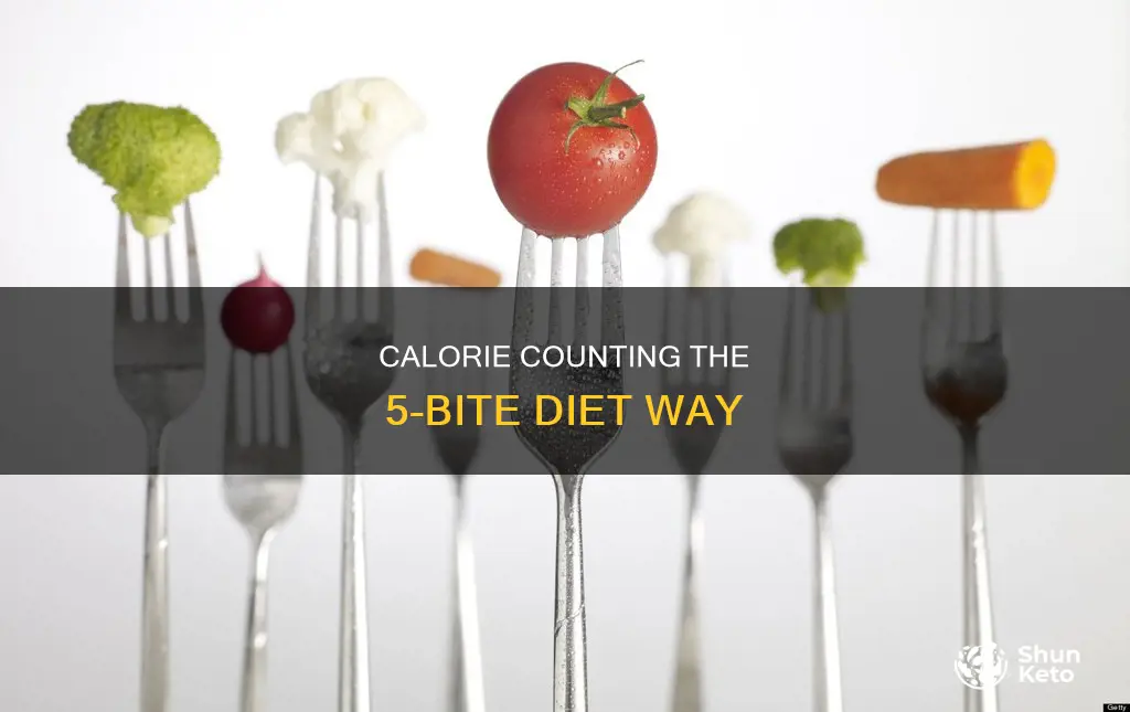 Calorie Counting The 5-Bite Diet Way | ShunKeto