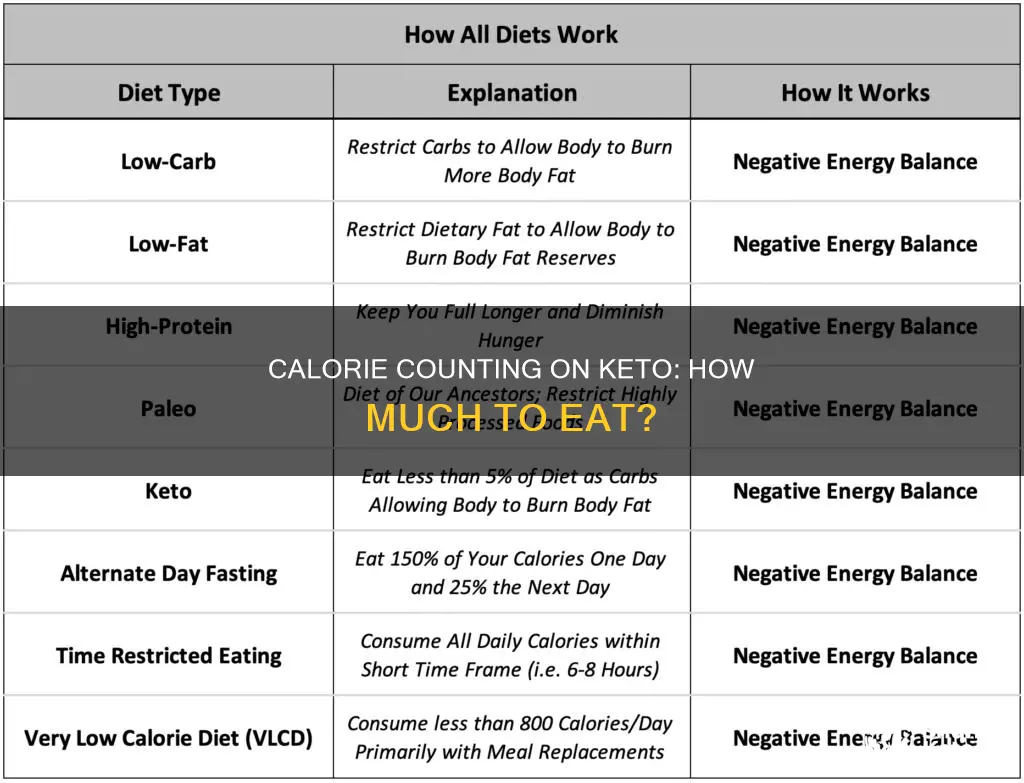 Calorie Counting On Keto: How Much To Eat? | ShunKeto