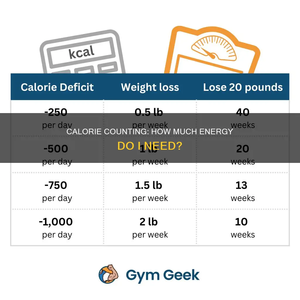 Calorie Counting: How Much Energy Do I Need? | ShunKeto