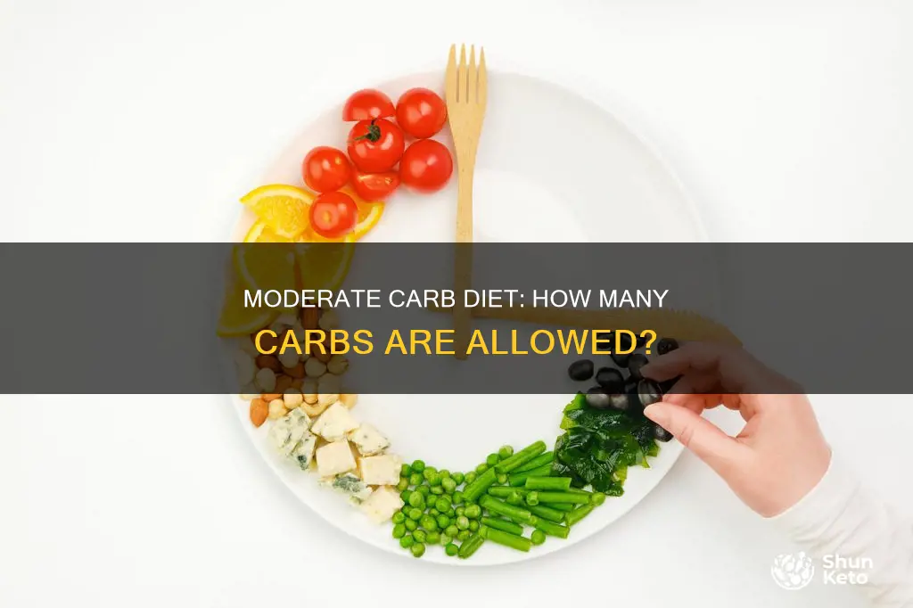 Moderate Carb Diet: How Many Carbs Are Allowed? | ShunKeto