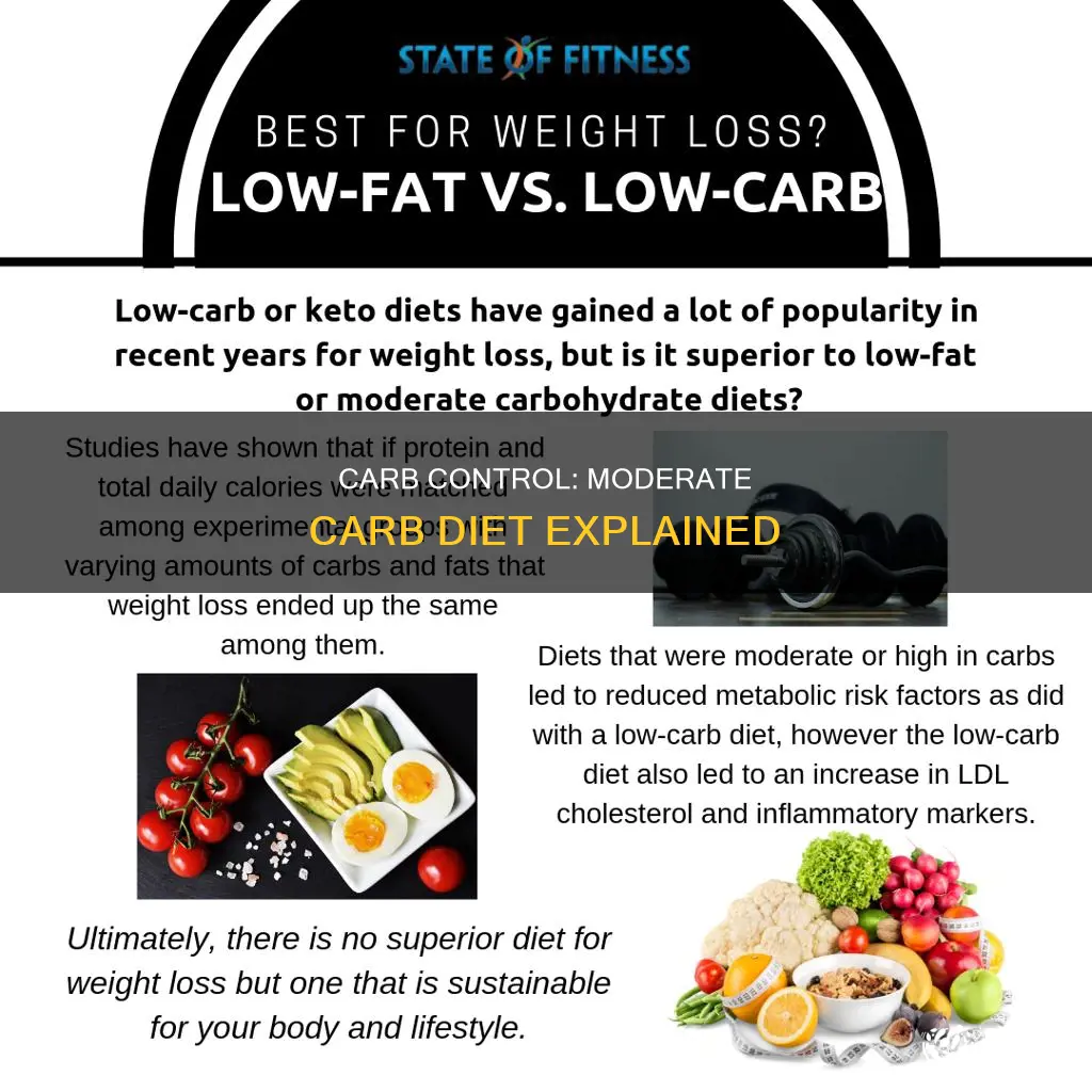 Carb Control: Moderate Carb Diet Explained | ShunKeto