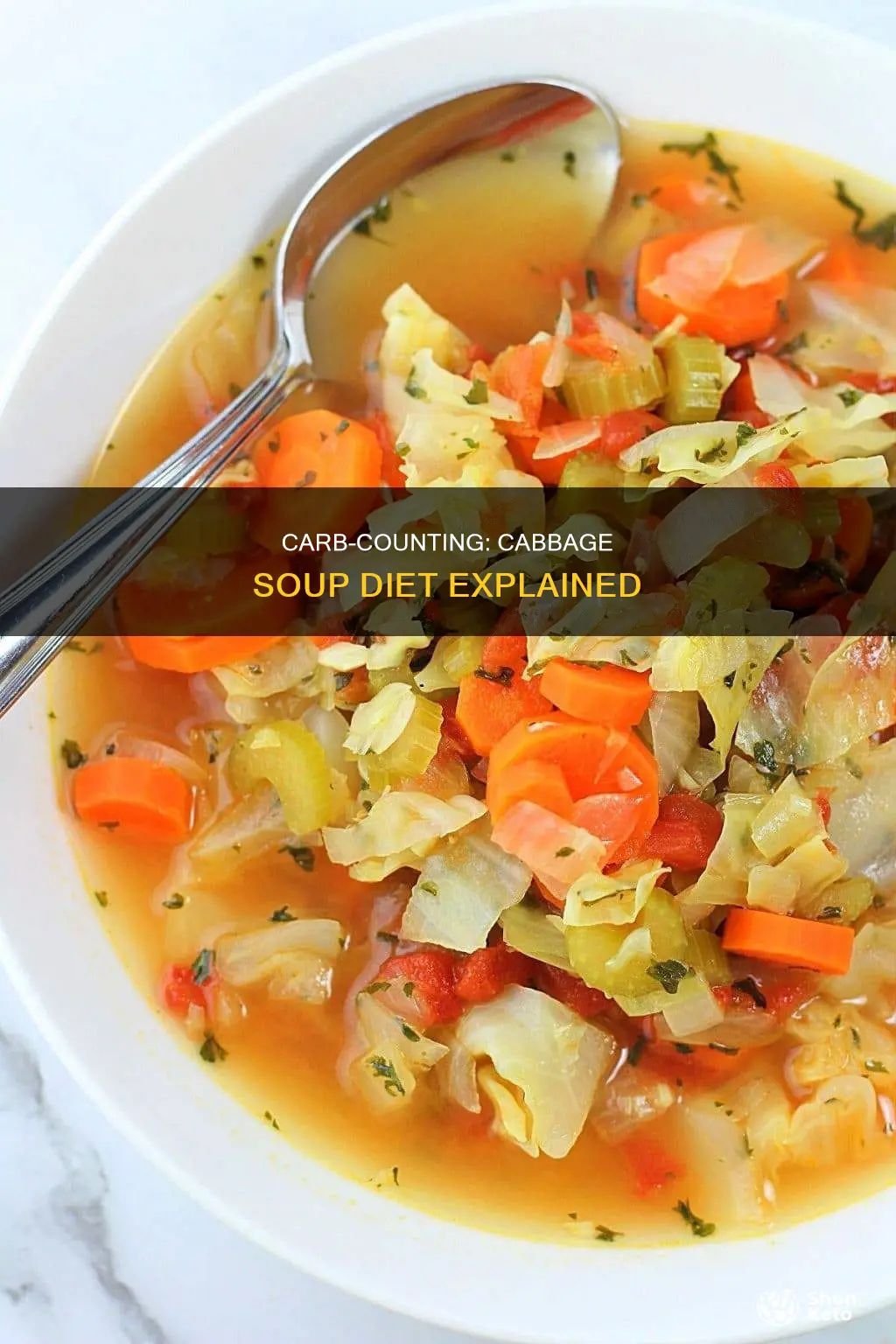 Carb-Counting: Cabbage Soup Diet Explained | ShunKeto