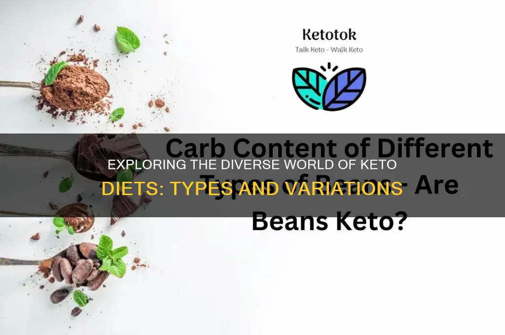 Exploring The Diverse World Of Keto Diets: Types And Variations | ShunKeto