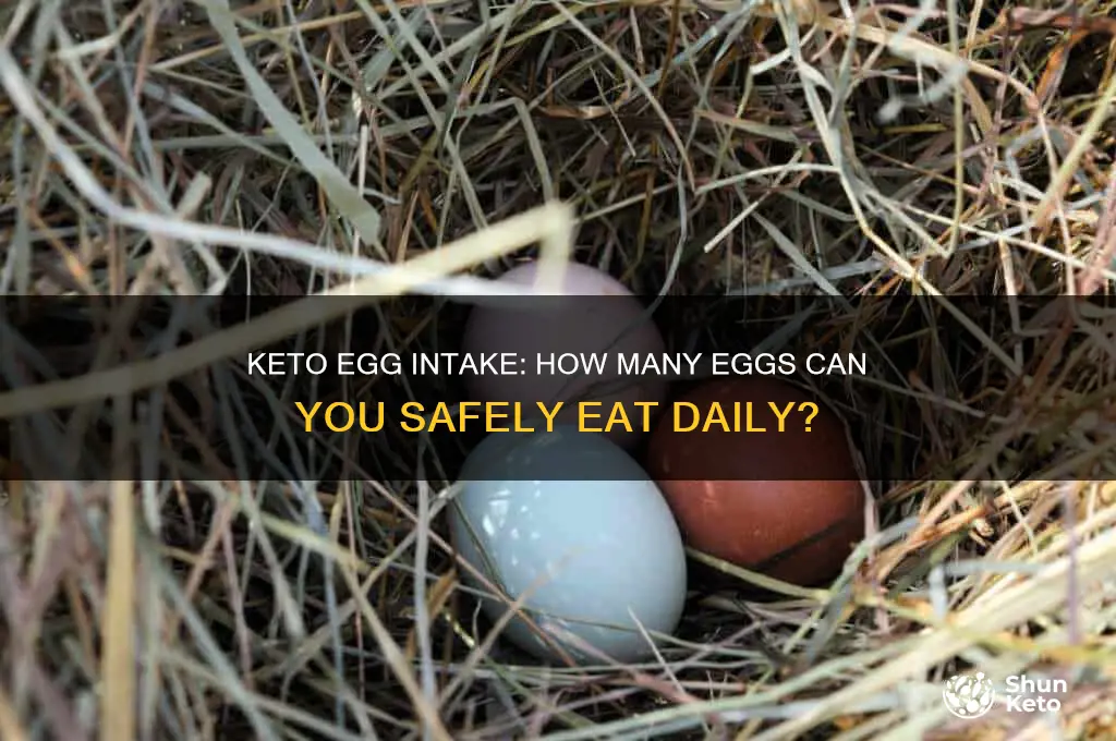 Keto Egg Intake: How Many Eggs Can You Safely Eat Daily? | ShunKeto