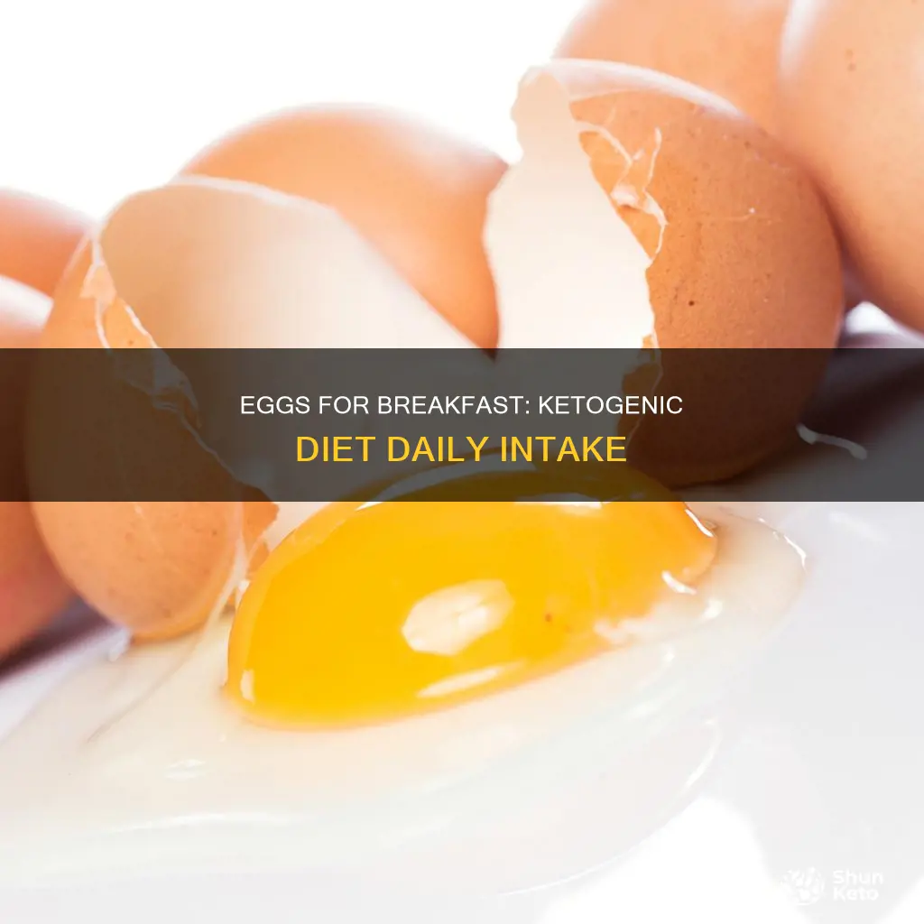 Eggs For Breakfast: Ketogenic Diet Daily Intake | ShunKeto