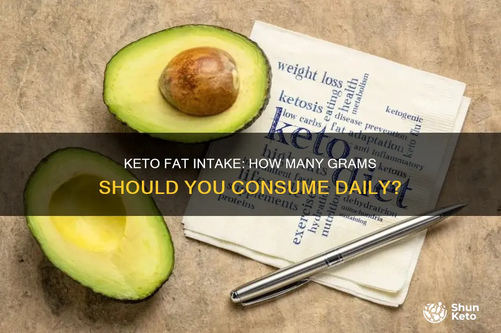 Keto Fat Intake: How Many Grams Should You Consume Daily? | ShunKeto