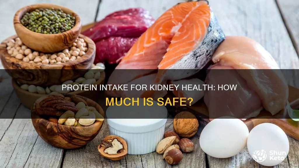Protein Intake For Kidney Health: How Much Is Safe? | ShunKeto