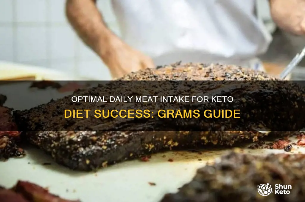 Optimal Daily Meat Intake For Keto Diet Success: Grams Guide | ShunKeto