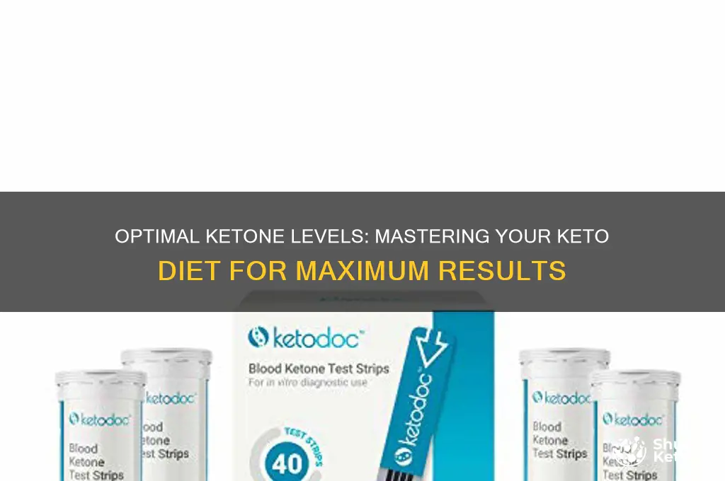 Optimal Ketone Levels: Mastering Your Keto Diet For Maximum Results ...