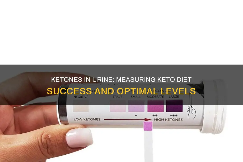 Ketones In Urine: Measuring Keto Diet Success And Optimal Levels | ShunKeto