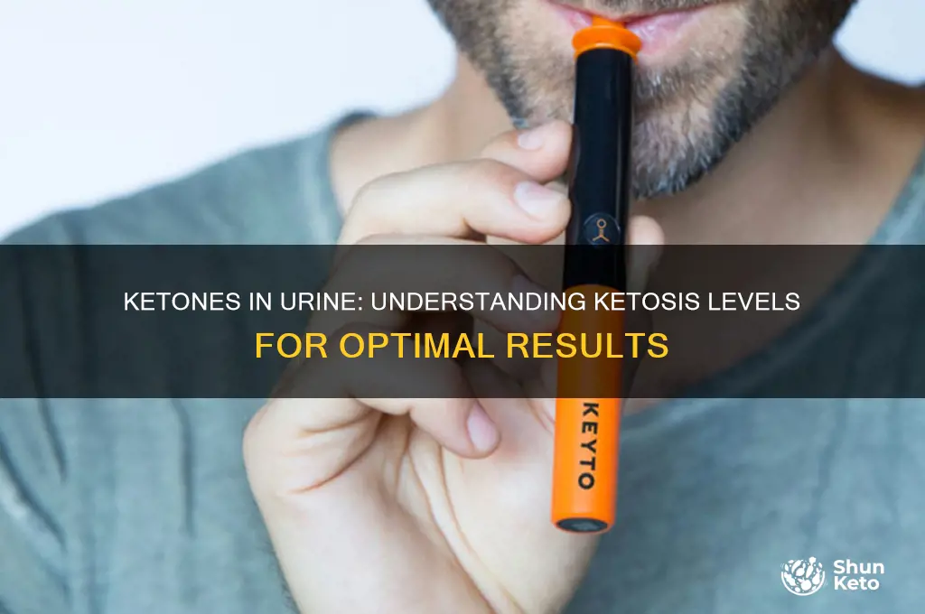 Ketones In Urine: Understanding Ketosis Levels For Optimal Results ...