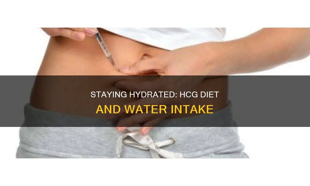 Staying Hydrated: Hcg Diet And Water Intake | ShunKeto