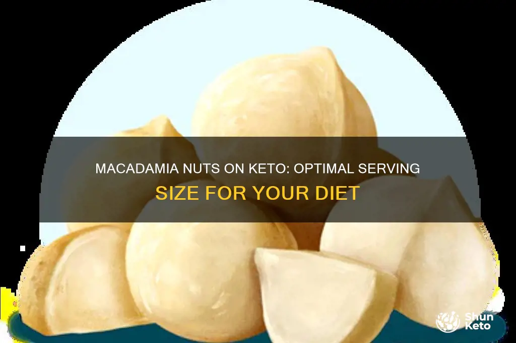 Macadamia Nuts On Keto: Optimal Serving Size For Your Diet | ShunKeto