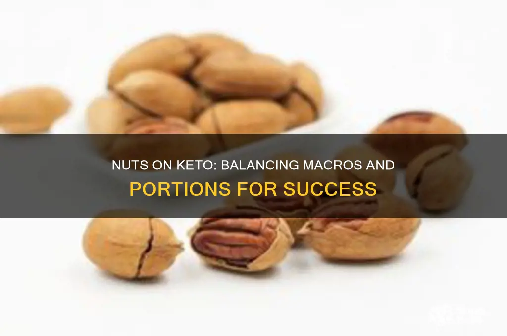Nuts On Keto: Balancing Macros And Portions For Success | ShunKeto