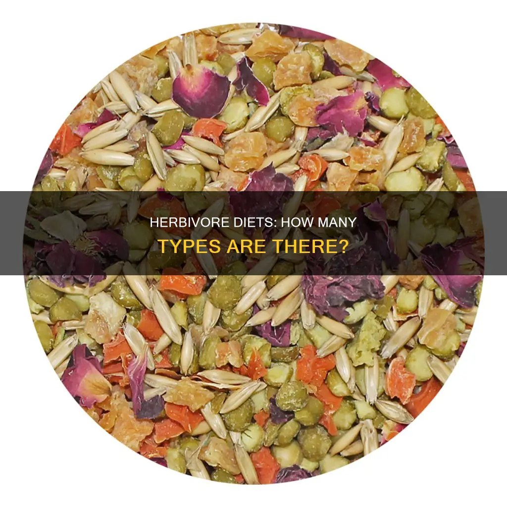 Herbivore Diets: How Many Types Are There? | ShunKeto
