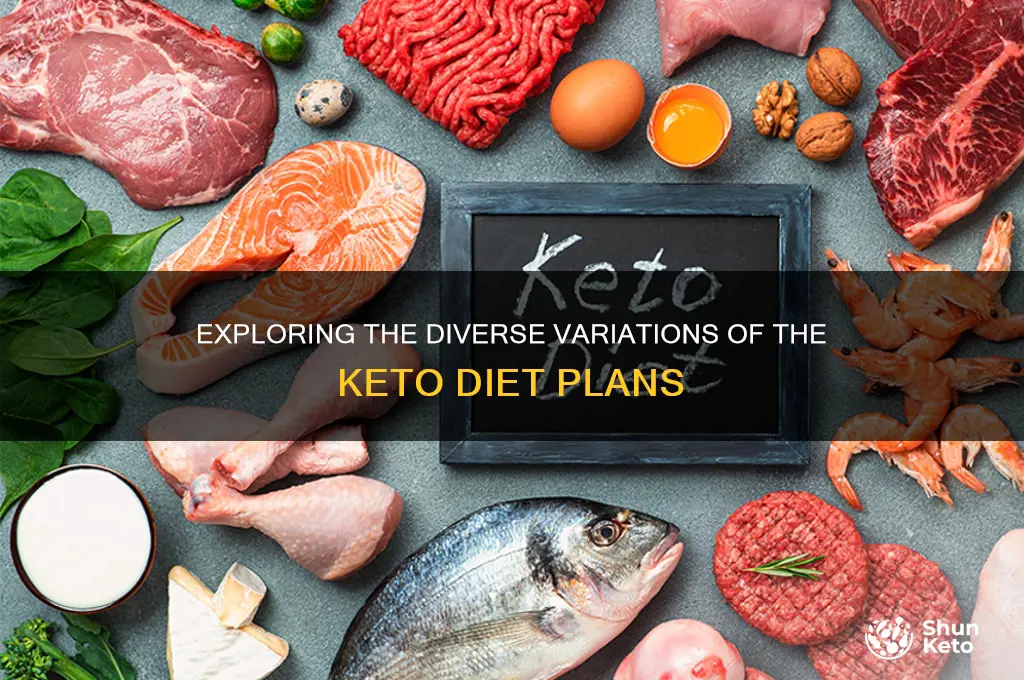 Exploring The Diverse Variations Of The Keto Diet Plans | ShunKeto