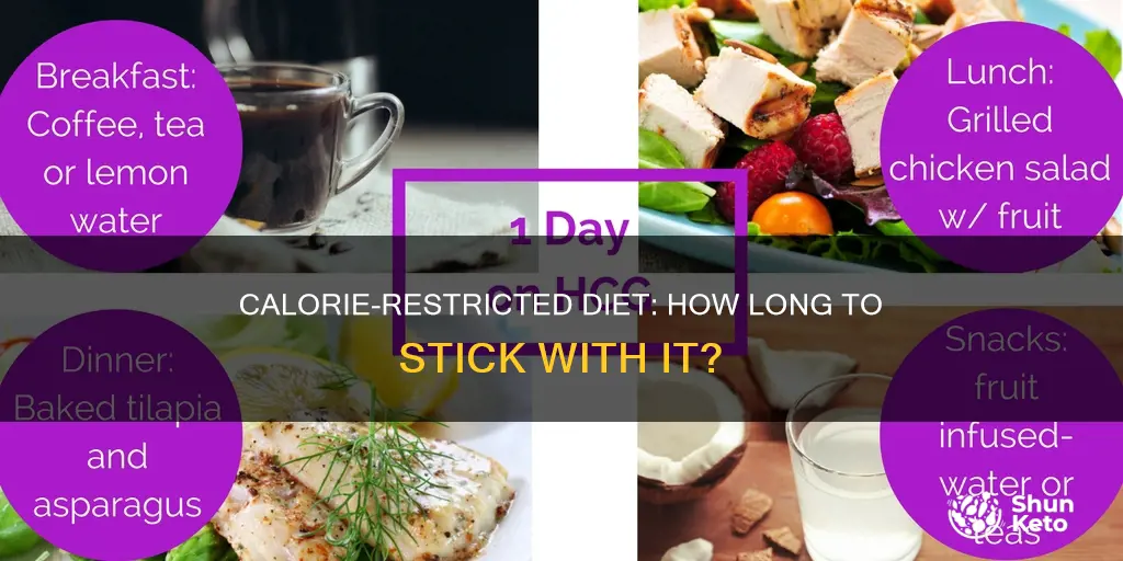 Calorie-Restricted Diet: How Long To Stick With It? | ShunKeto