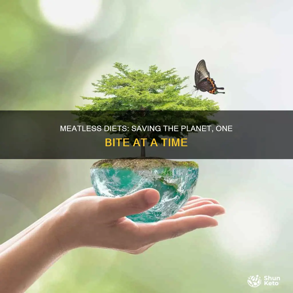 Meatless Diets: Saving The Planet, One Bite At A Time | ShunKeto