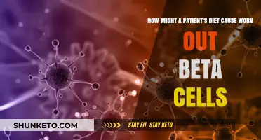 Diet's Impact: Worn-Out Beta Cells And Patient's Health | ShunKeto