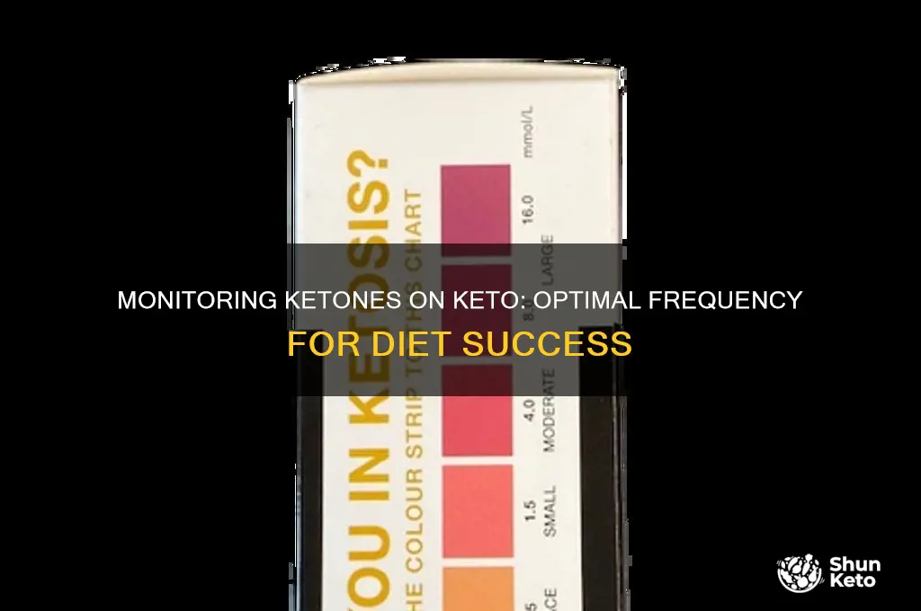 Monitoring Ketones On Keto: Optimal Frequency For Diet Success | ShunKeto