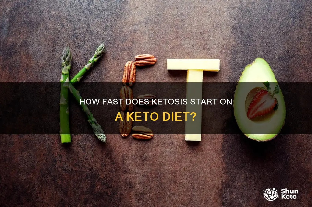 How Fast Does Ketosis Start On A Keto Diet? | ShunKeto