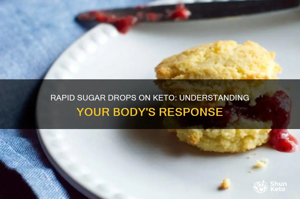 Rapid Sugar Drops On Keto: Understanding Your Body's Response | ShunKeto