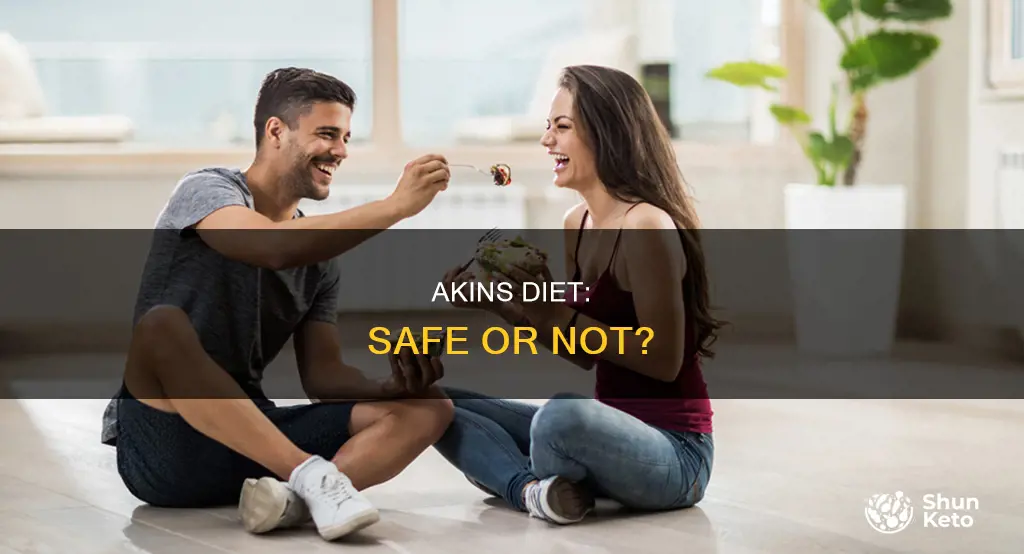 Akins Diet: Safe Or Not? | ShunKeto