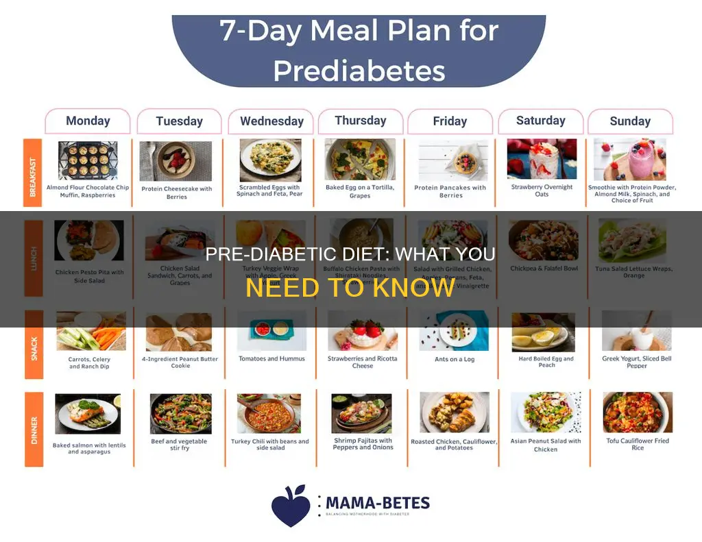 Pre-Diabetic Diet: What You Need To Know | ShunKeto