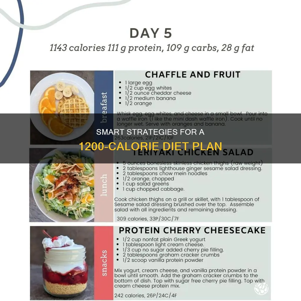 Smart Strategies For A 1200-Calorie Diet Plan | ShunKeto