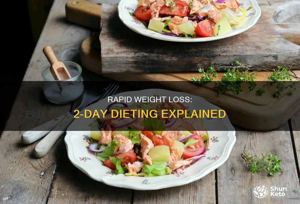 Rapid Weight Loss: 2-Day Dieting Explained | ShunKeto